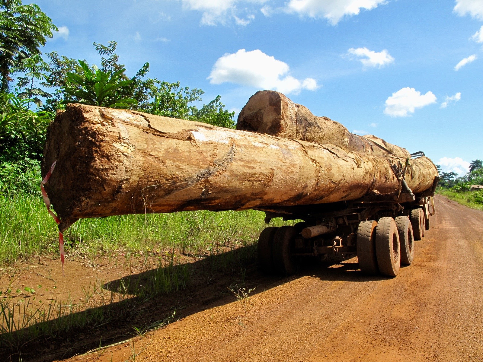 Chinese Logging in Gabon: Neocolonialism or a New Way Forward? - U-M Erb